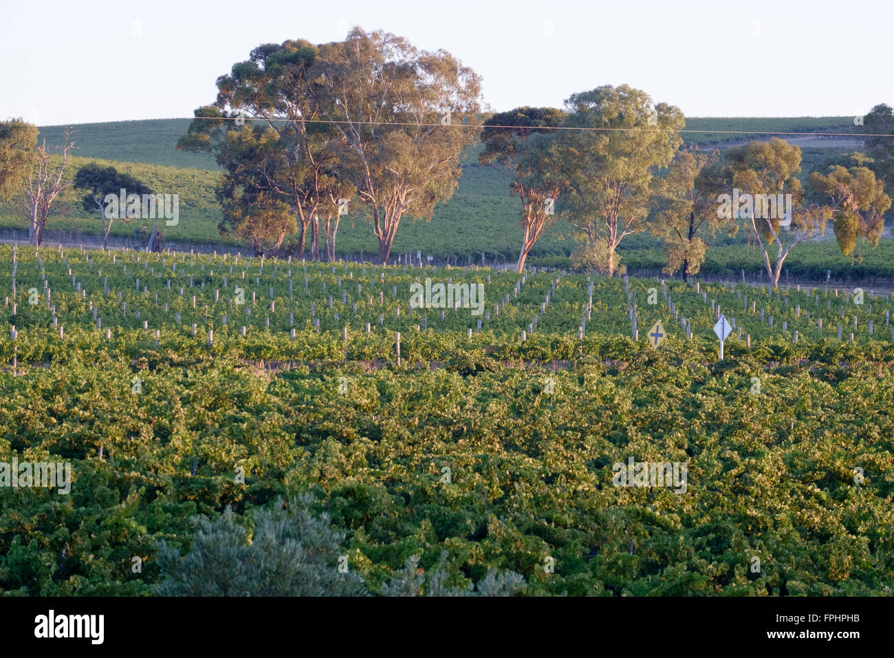 Clare valley australia hi-res stock photography and images - Alamy