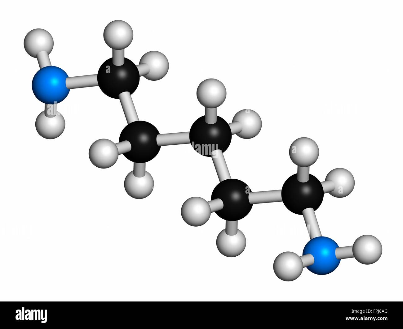 Cadaverine High Resolution Stock Photography and Images - Alamy
