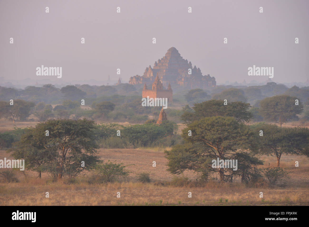 Dhammayangyi temple rises above the plains, Bagan, Myanmar Stock Photo ...