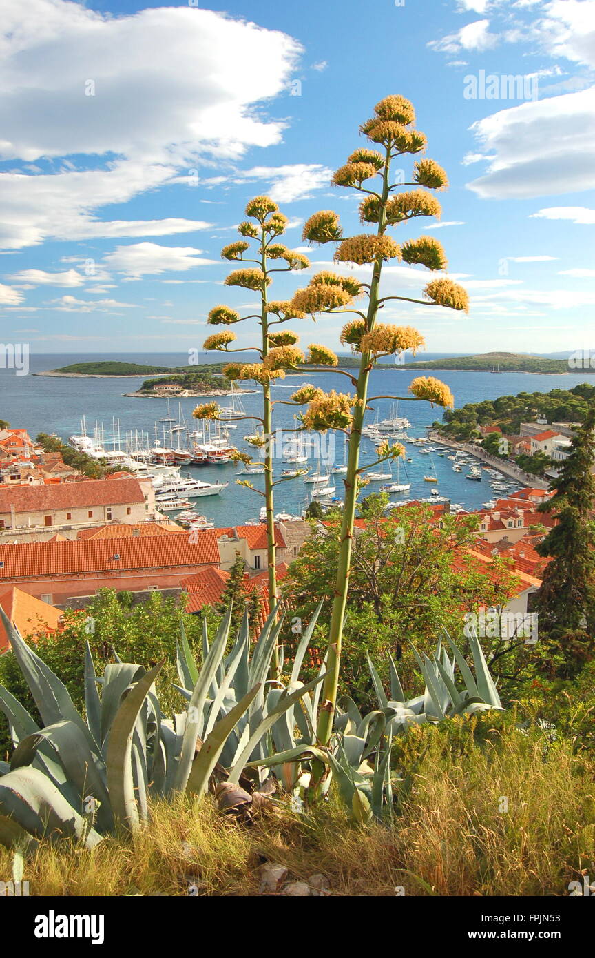 Arsenal hvar town hvar island hi-res stock photography and images - Alamy