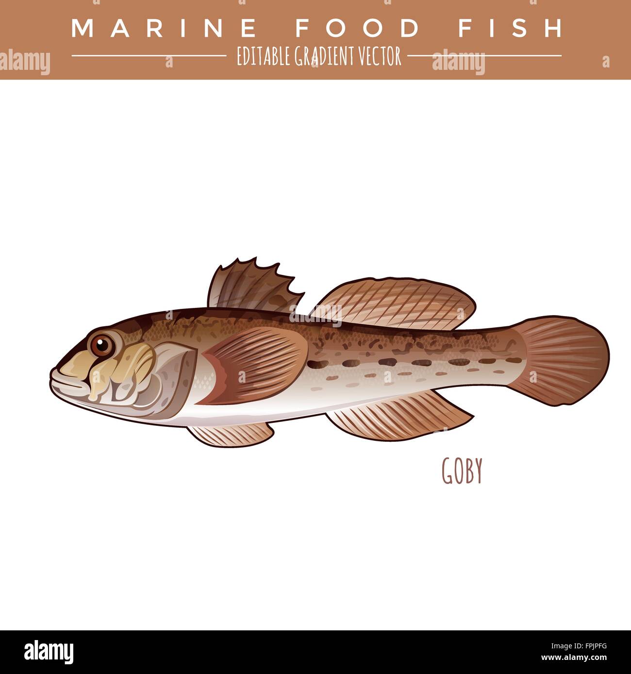 Goby. Marine Food Fish Stock Vector Image & Art - Alamy