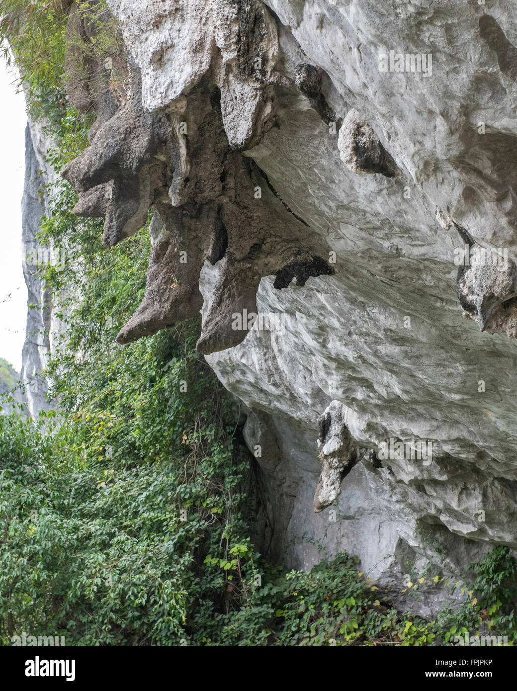 Strange rock formation outside the Hang Sung Sot cave in Halong Bay ...
