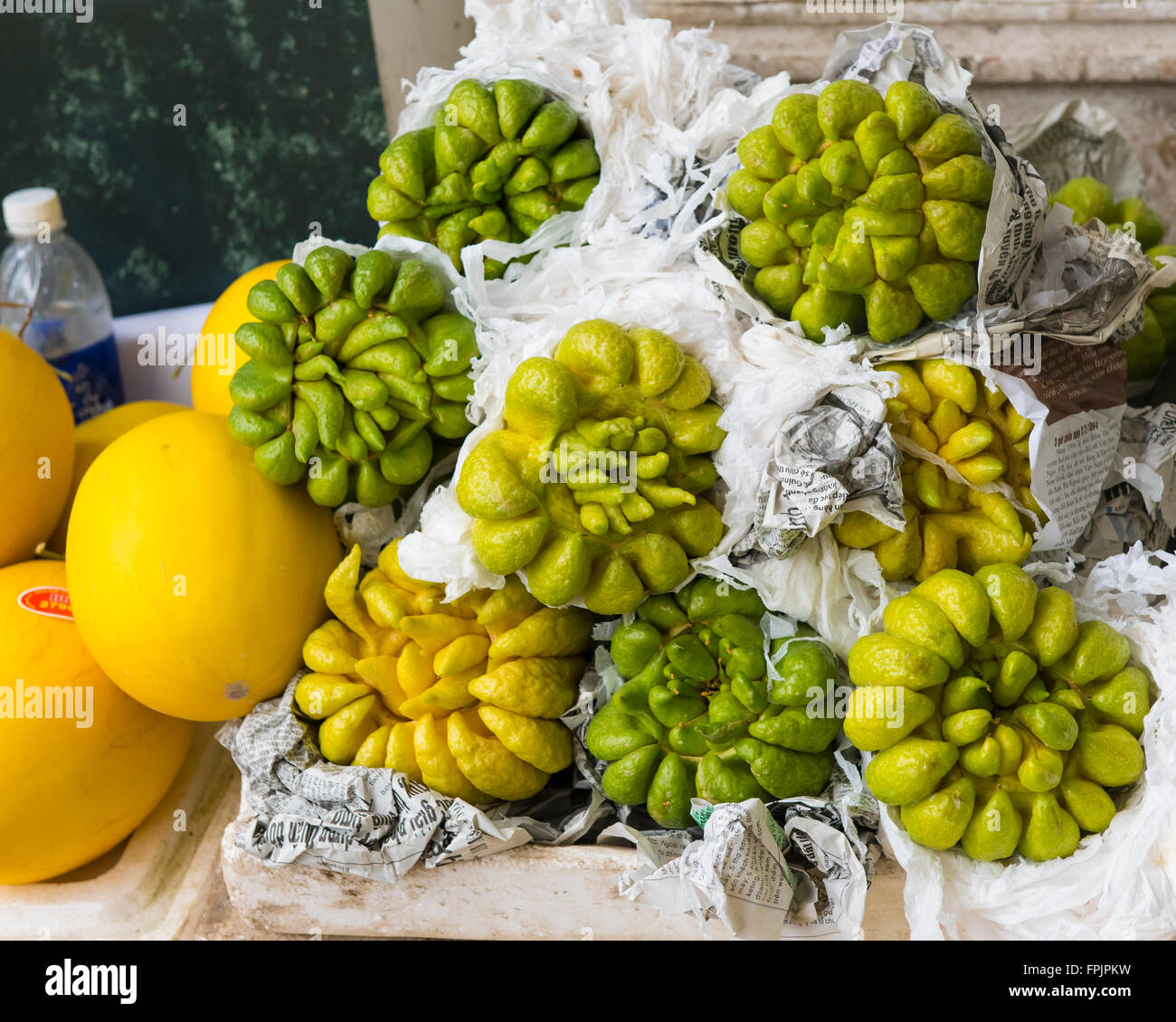 Sarcodactylis hi-res stock photography and images - Alamy