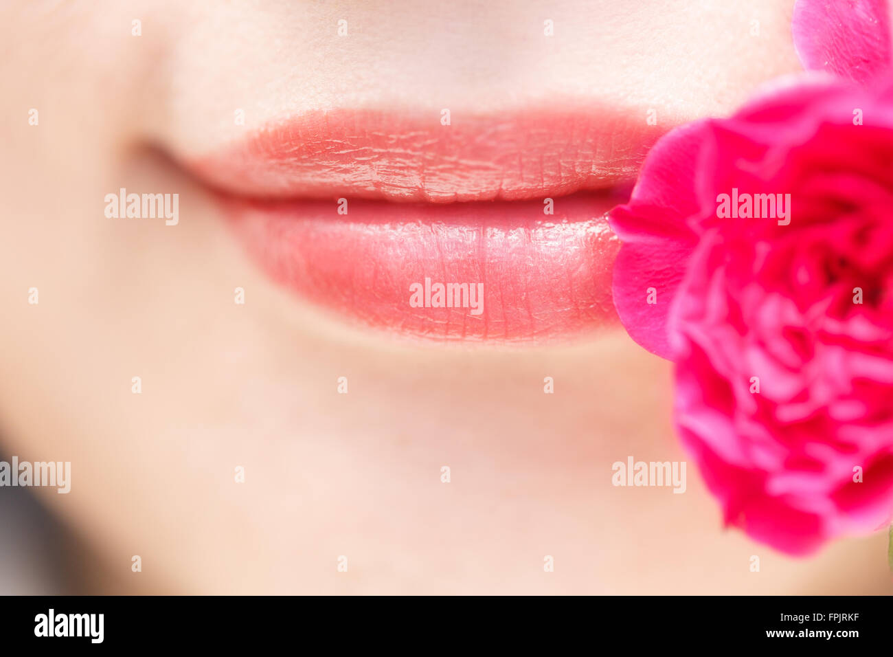 Rose Lips