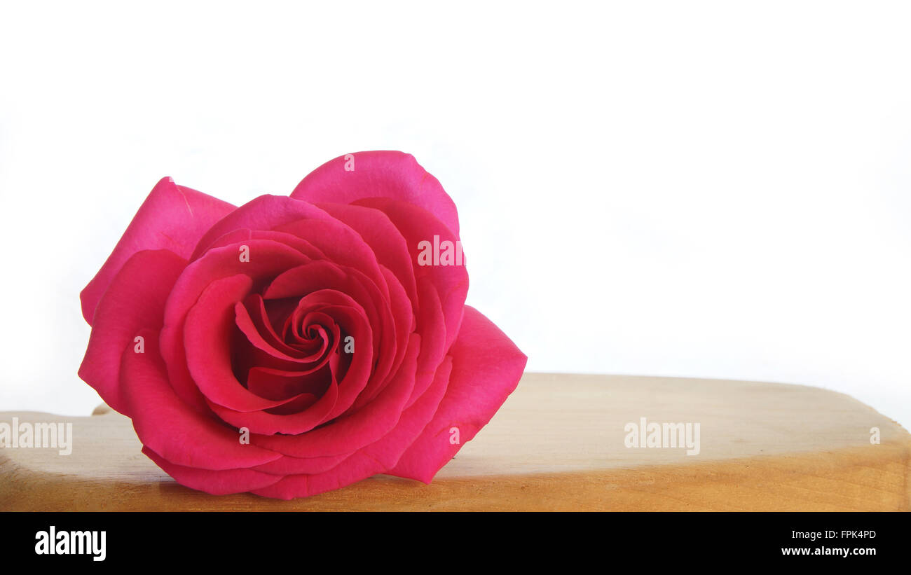 Lonely red rose on wooden table on white background Stock Photo - Alamy