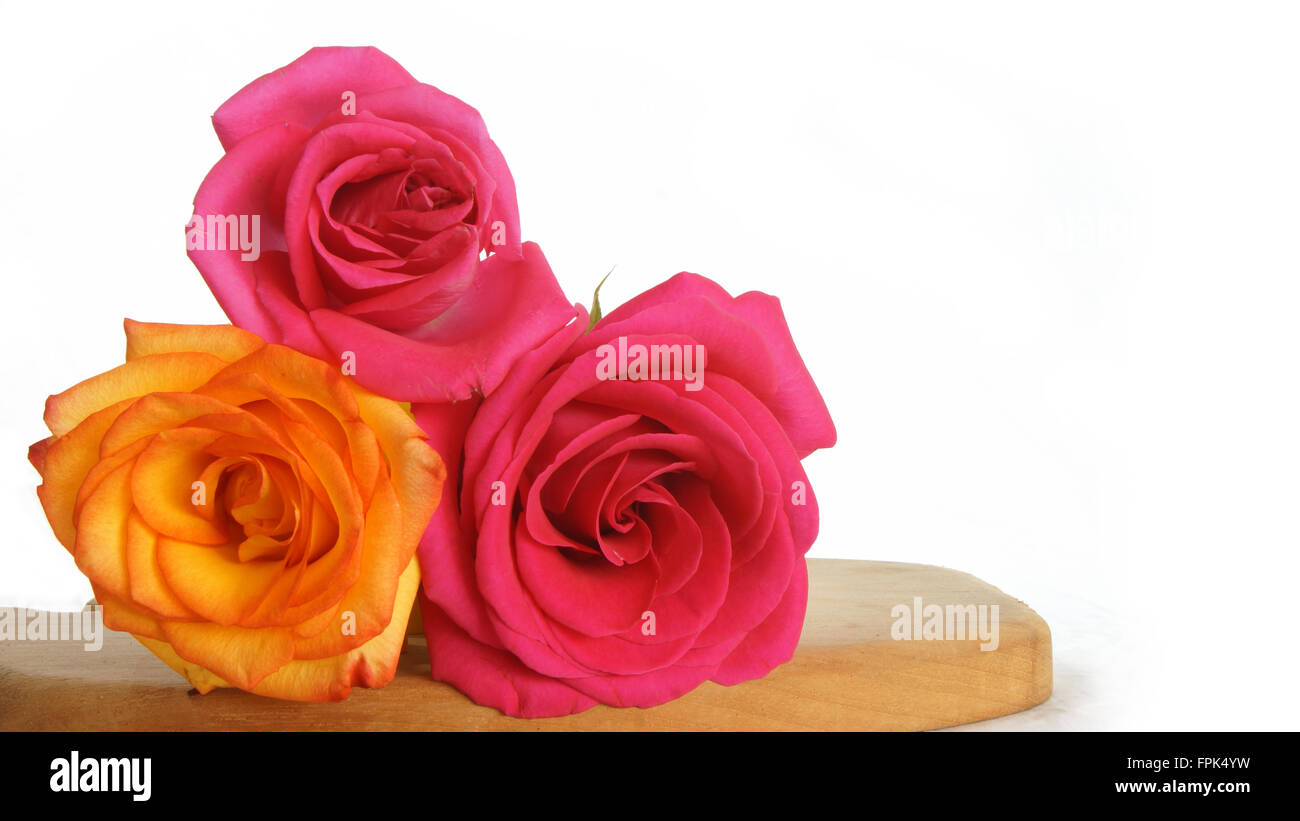 Three roses together hi-res stock photography and images - Alamy