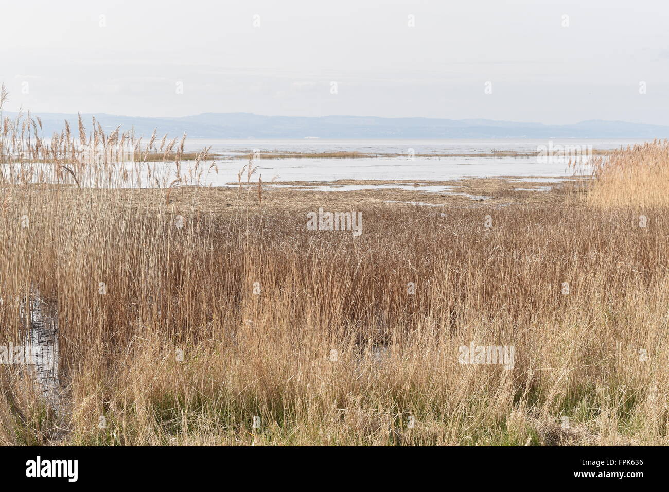 Lower heswall marshes hi-res stock photography and images - Alamy