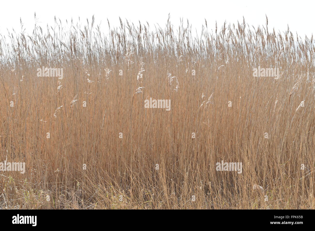 Heswall hi-res stock photography and images - Alamy