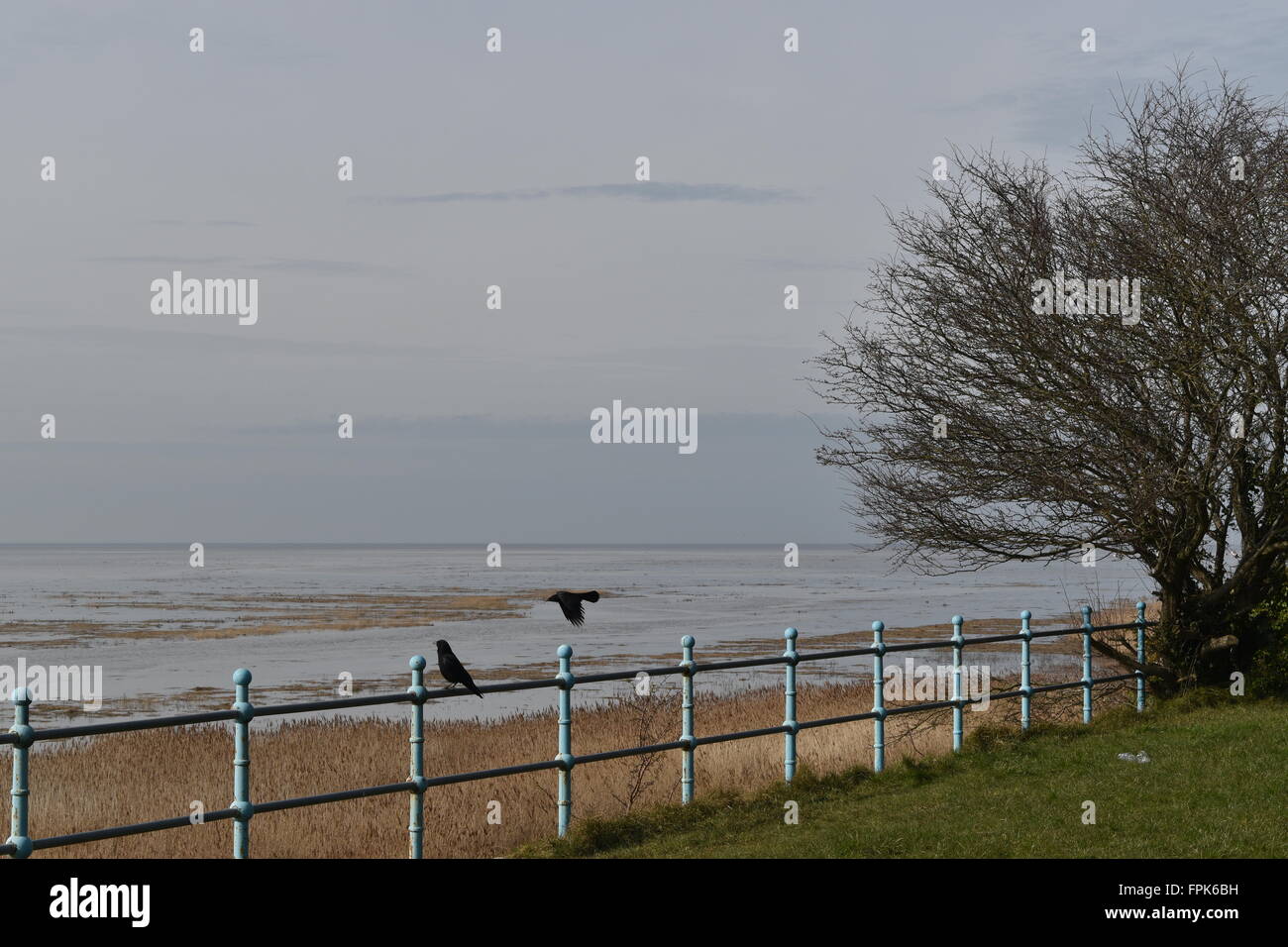 Heswall hi-res stock photography and images - Alamy