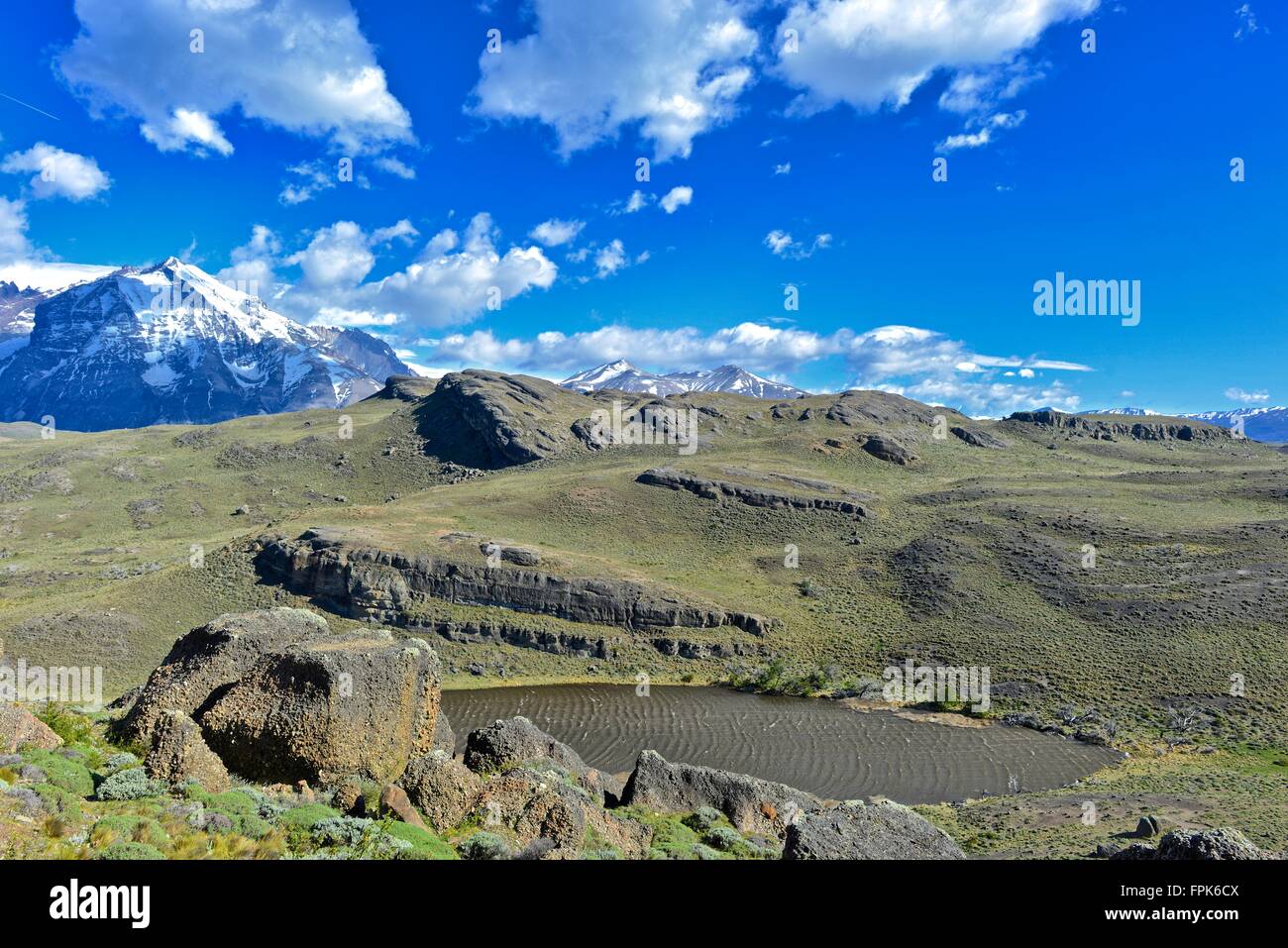 Magellanic subpolar forests hi-res stock photography and images - Alamy