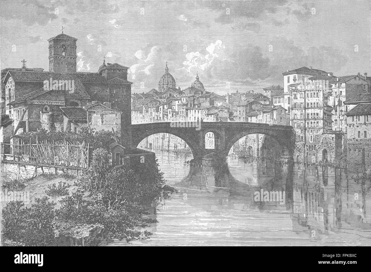 Bird spiders hi-res stock photography and images - Alamy