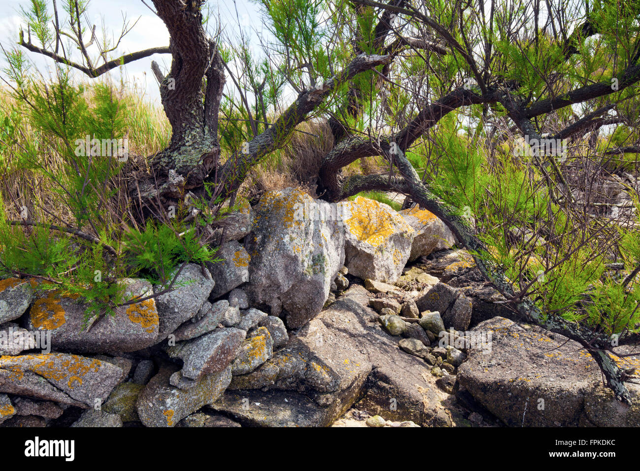 Between granite hi-res stock photography and images - Alamy