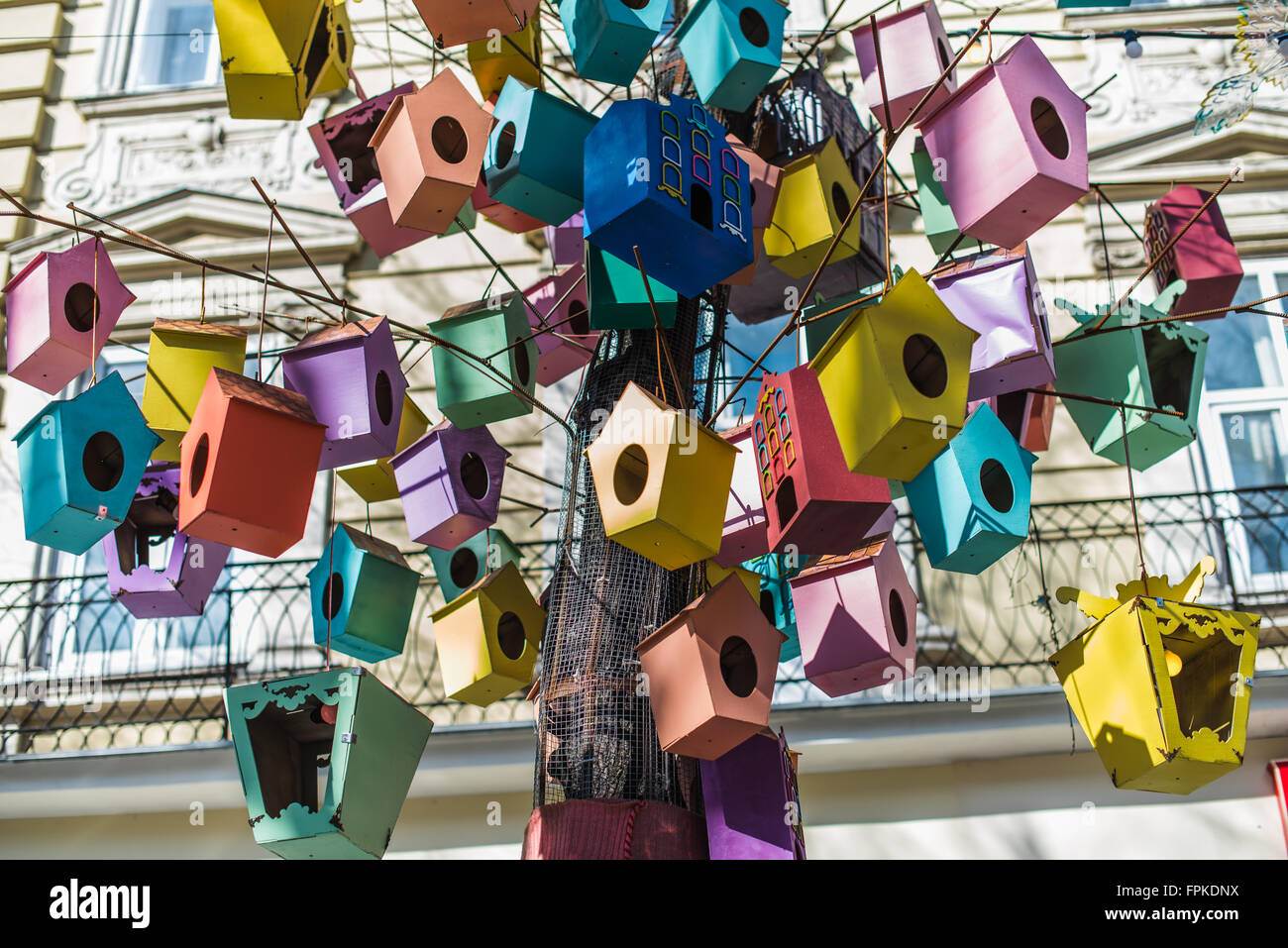 Colorful bird feeders hanging on the tree close up Stock Photo - Alamy