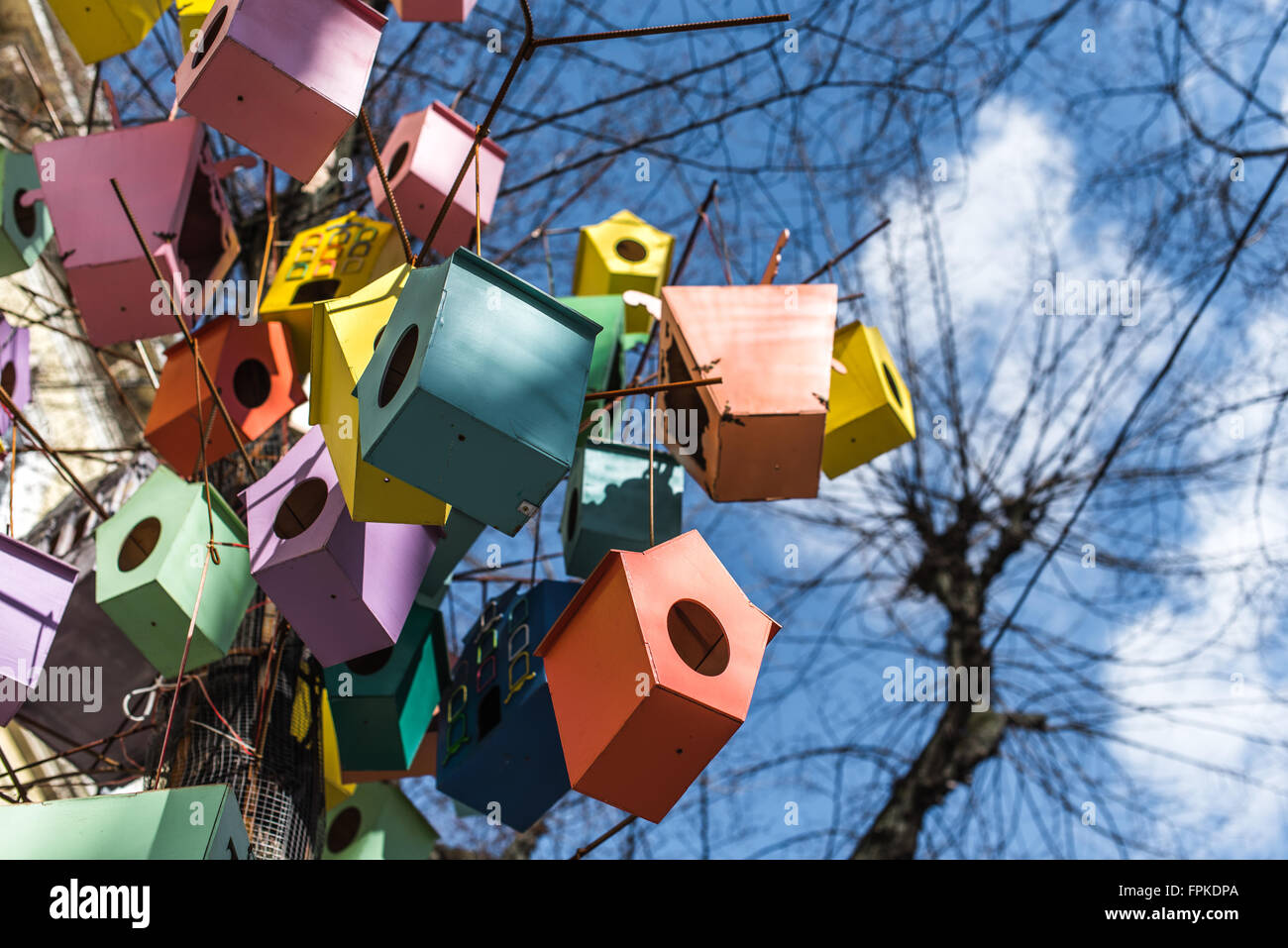Colorful bird feeders hanging on the tree close up Stock Photo - Alamy