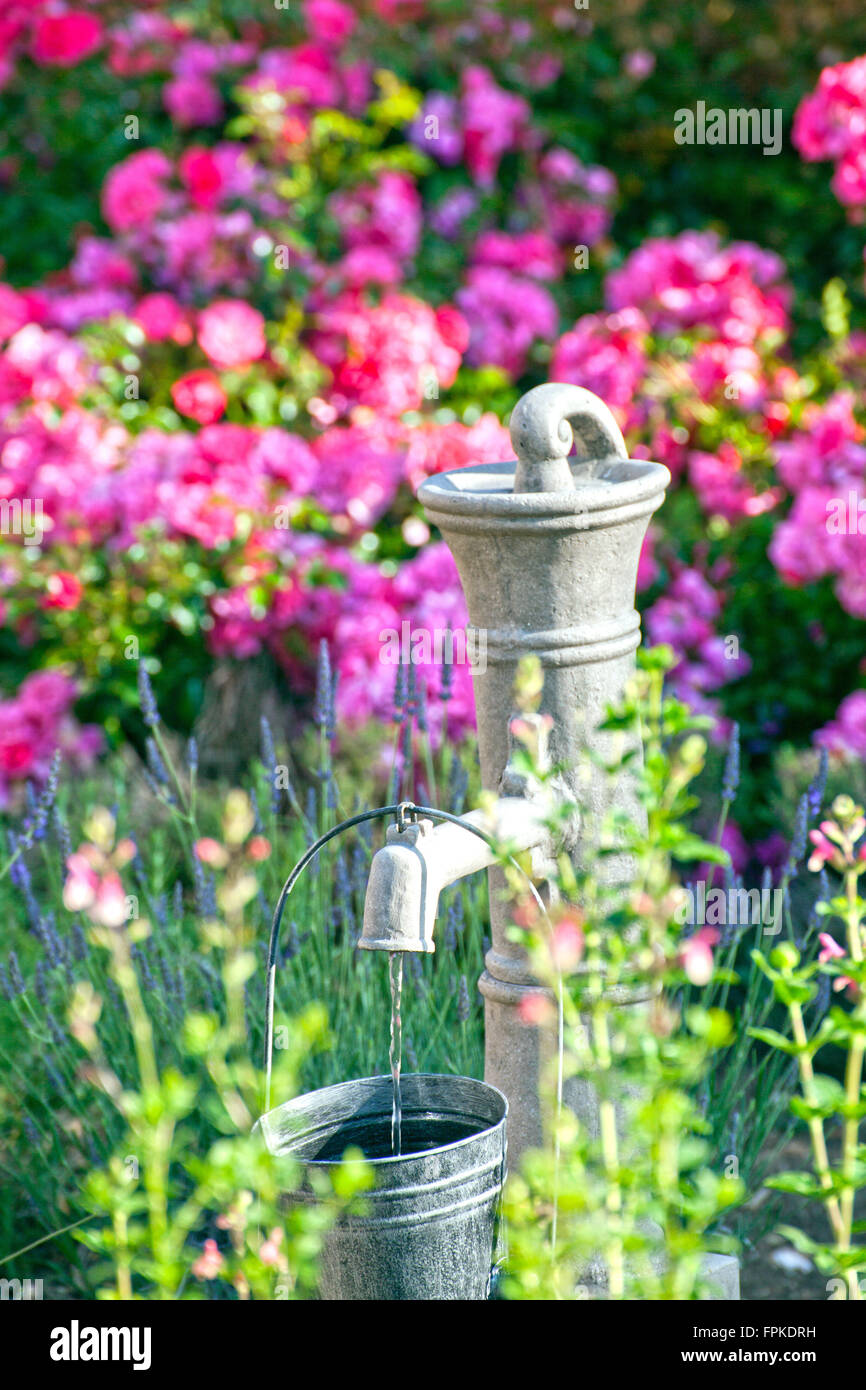 Rose garden with well Stock Photo - Alamy