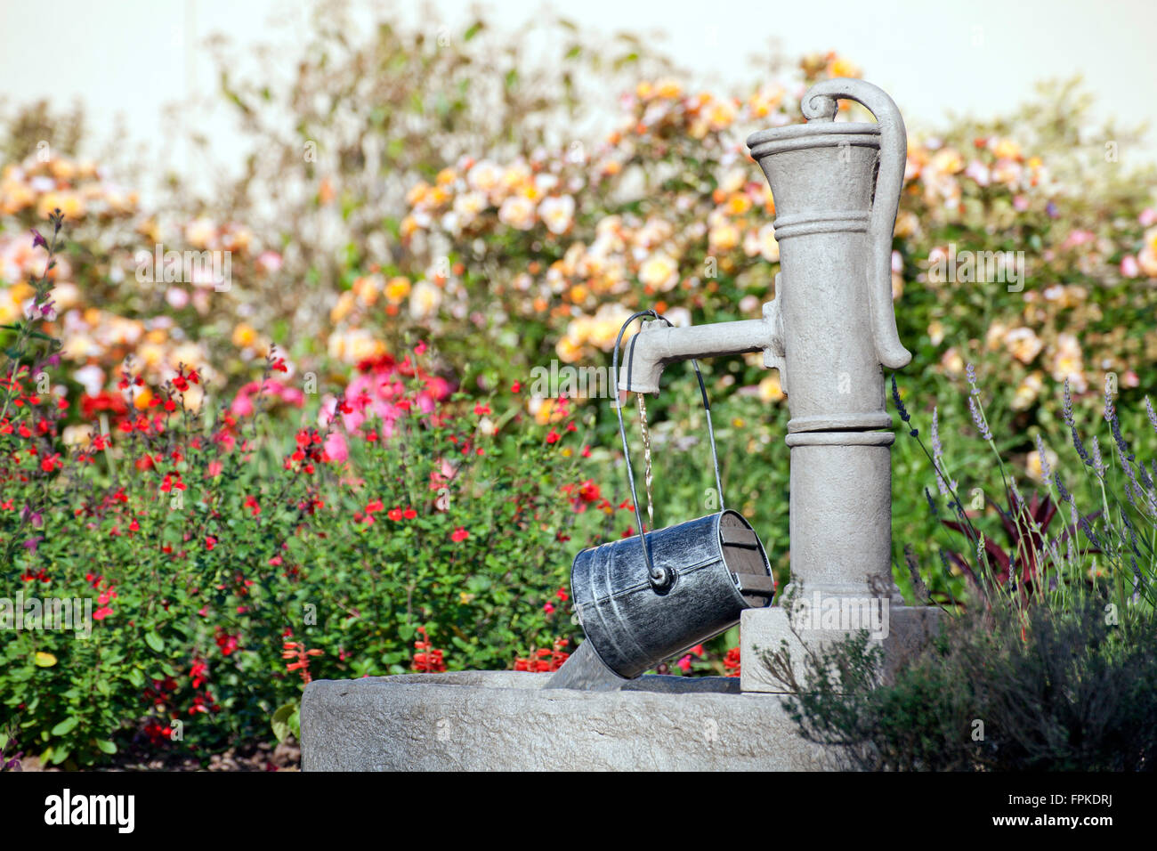 Rose garden with well Stock Photo - Alamy