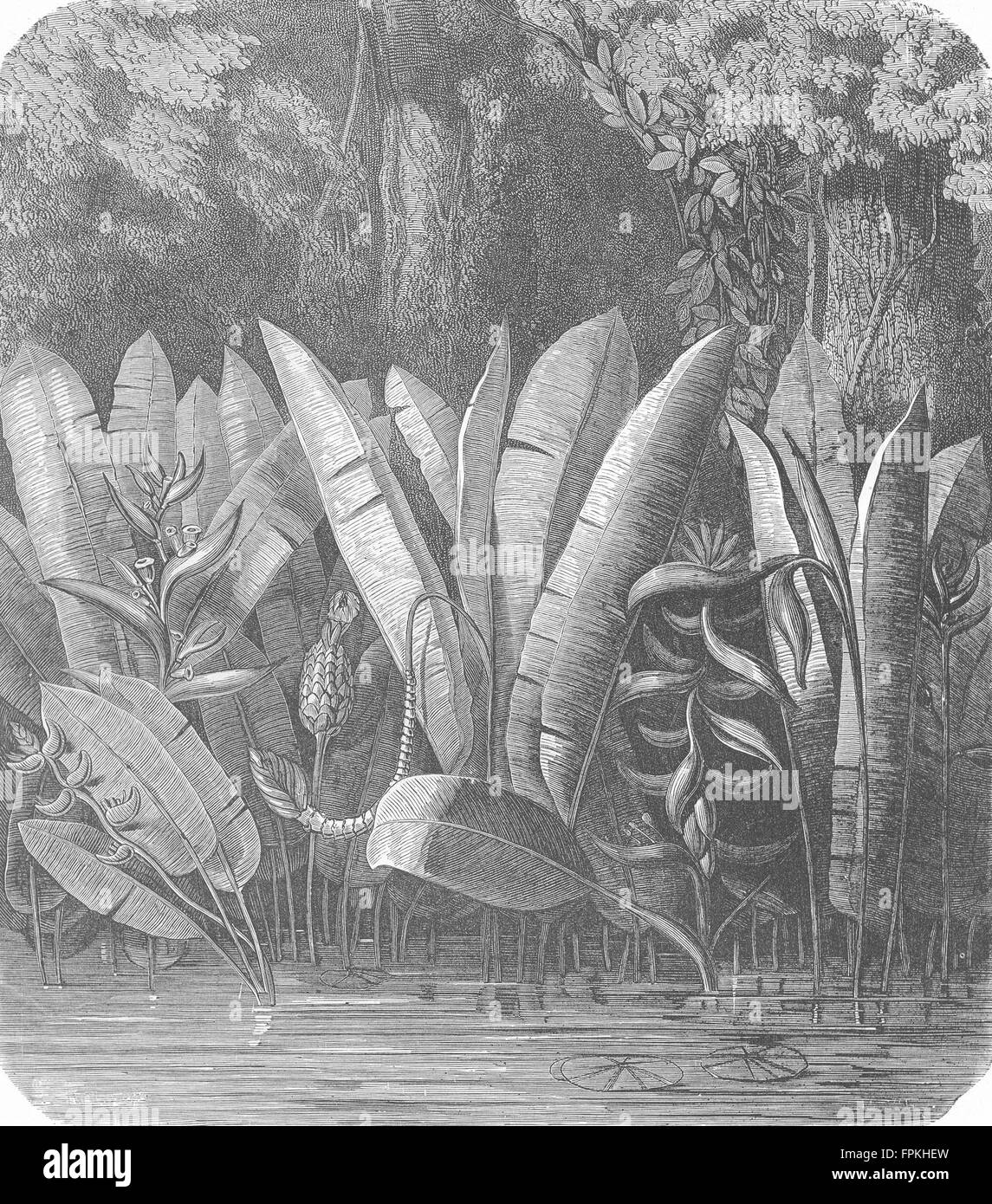 Tierra caliente hi-res stock photography and images - Alamy