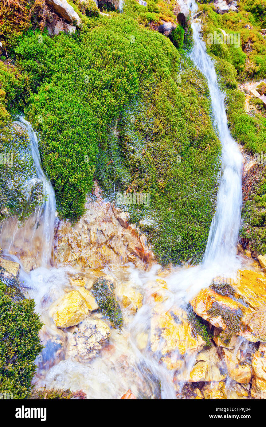 Moss padding in mountain brook Stock Photo - Alamy