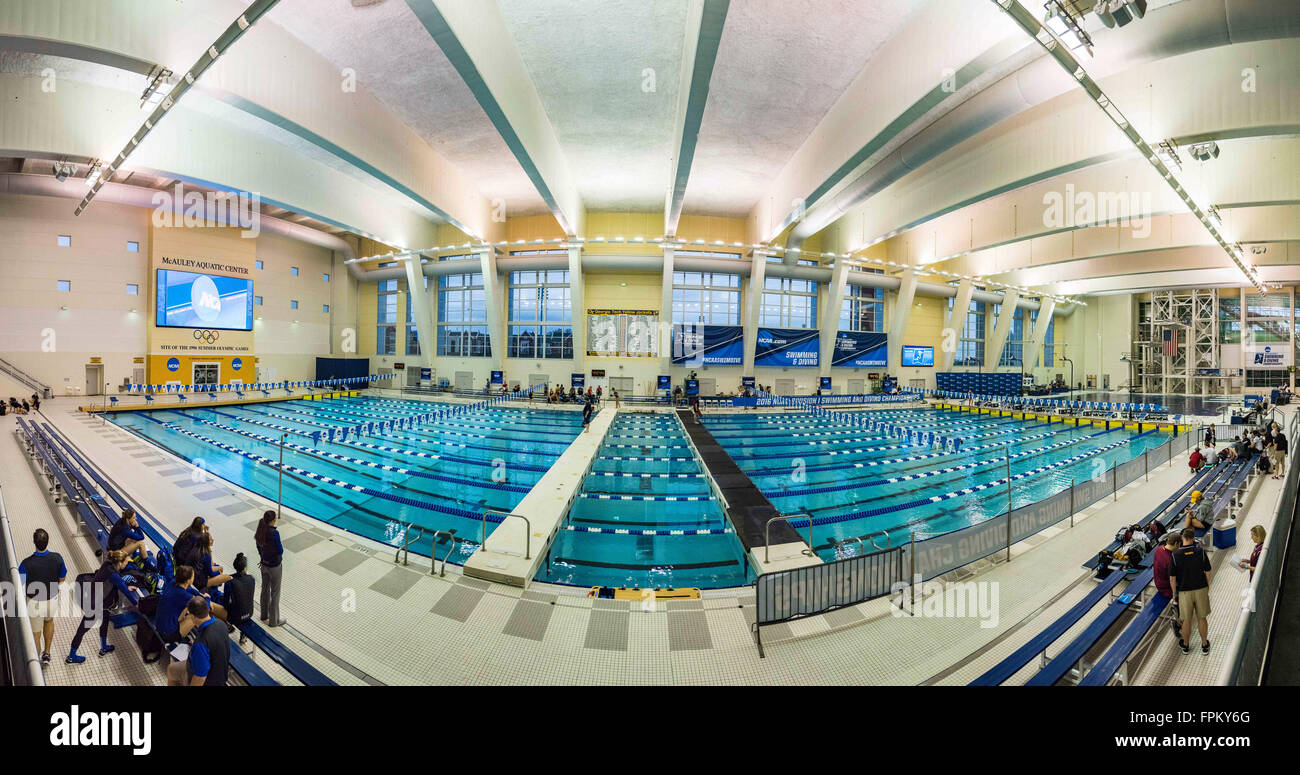 A Panorama during the NCAA Women's Swimming and Diving Championship on ...