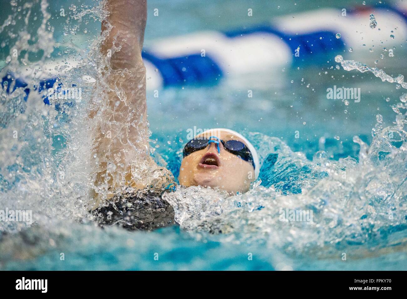 Kentucky swimmer Bridgette Alexander during the NCAA Women's Swimming ...