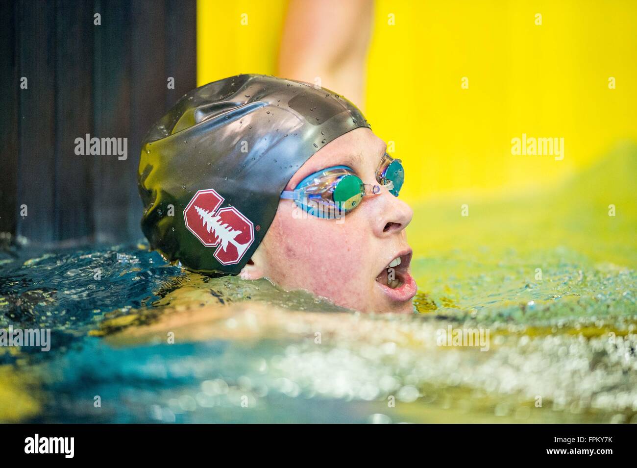 Stanford swimmer Nicole Stafford during the NCAA Women's Swimming and ...
