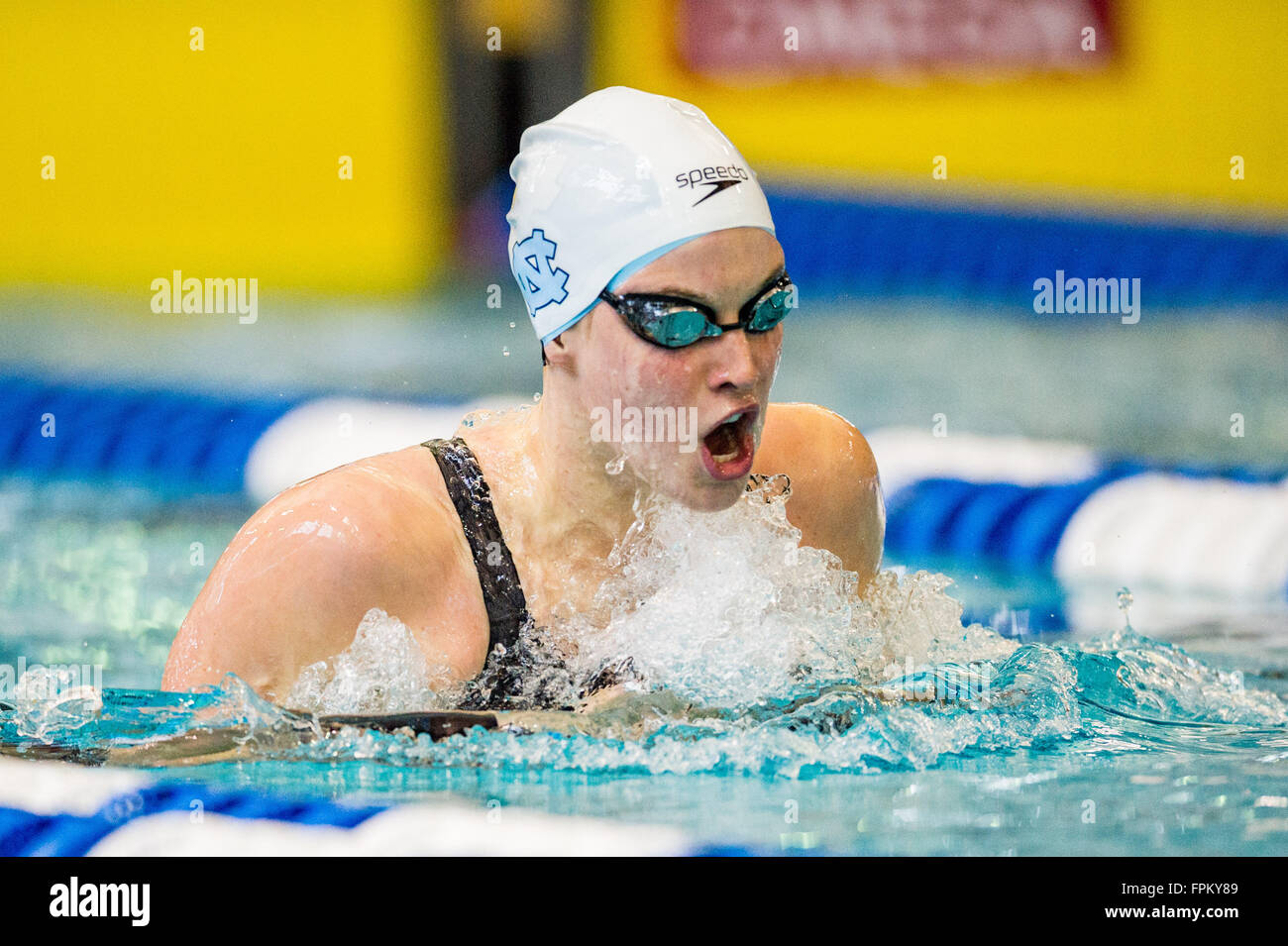 UNC swimmer Abby Fisher during the NCAA Women's Swimming and Diving ...