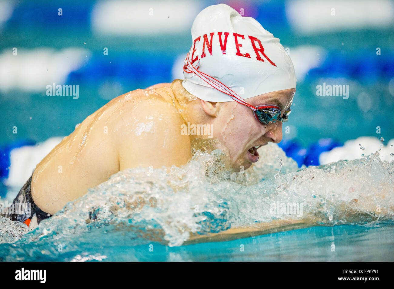 Denver swimmer Amanda Sanders during the NCAA Women's Swimming and ...