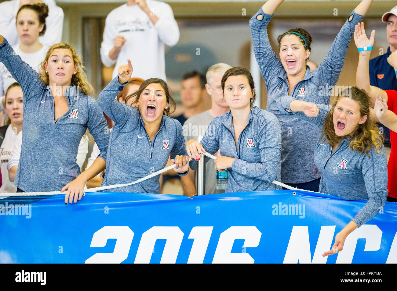 The Arizona team cheers on their teammates during the NCAA Women's ...