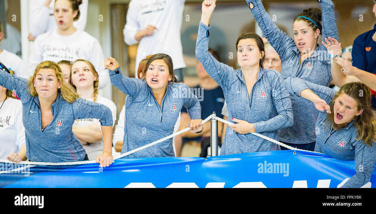 The Arizona team cheers on their teammates during the NCAA Women's ...