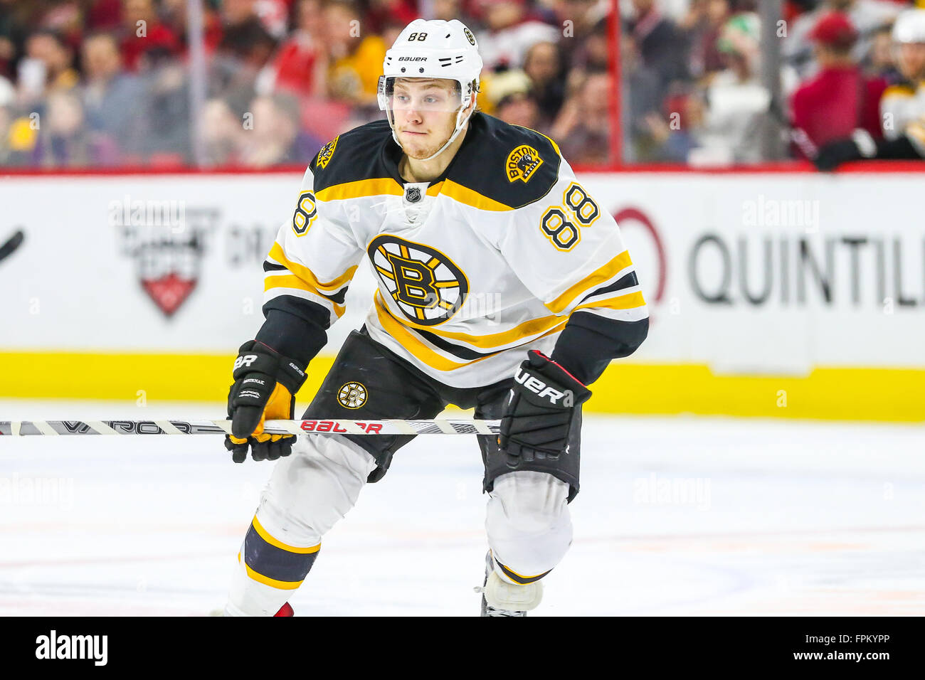 Pastrnak boston hi-res stock photography and images - Alamy