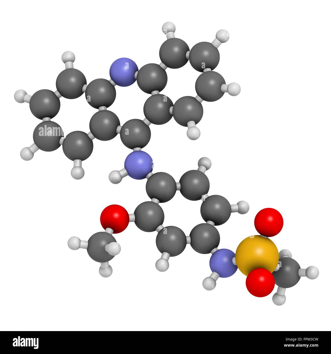 Intercalating hi-res stock photography and images - Alamy