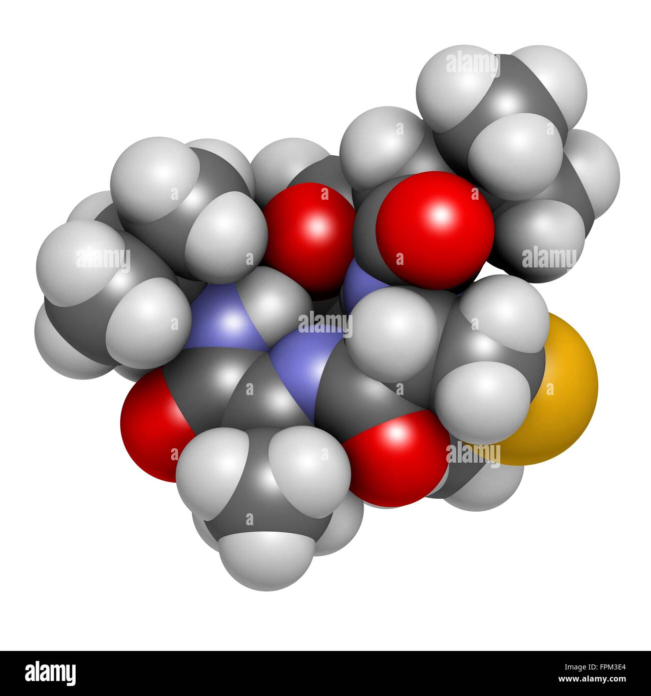 T cell lymphoma Cut Out Stock Images & Pictures - Alamy
