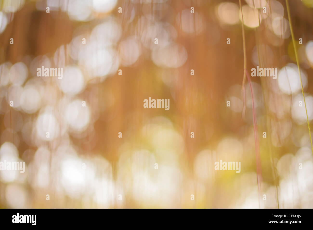 Abstract blur background Stock Photo - Alamy