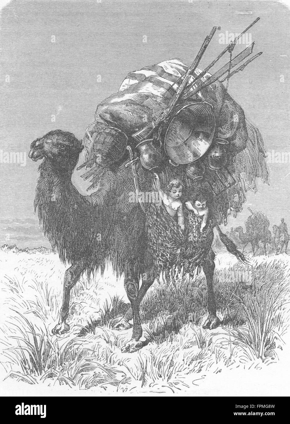 Dzungaria hi-res stock photography and images - Alamy