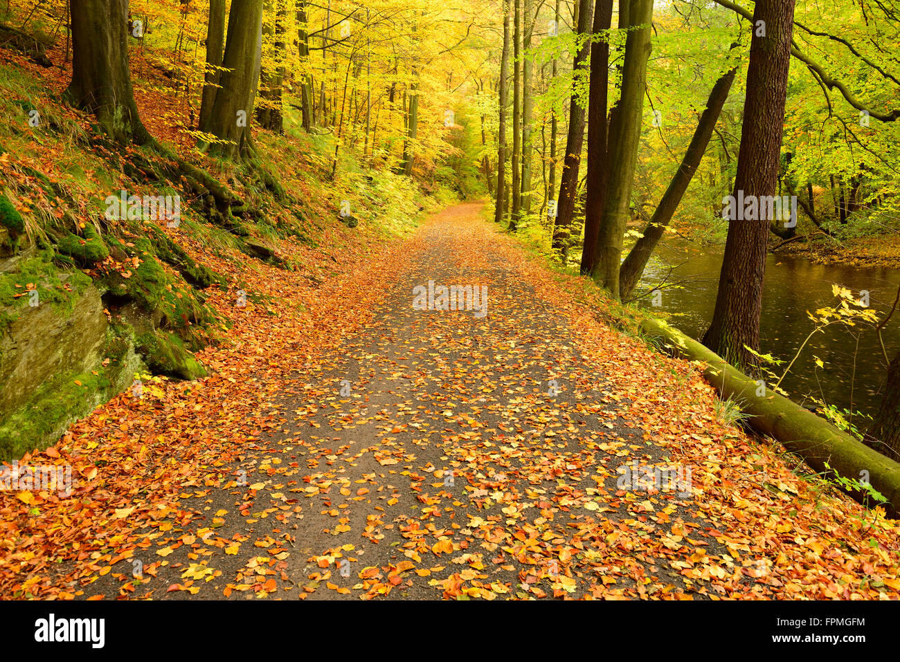 Germany, Thuringia, hiking trail at the River Schwarza in the Schwarza ...