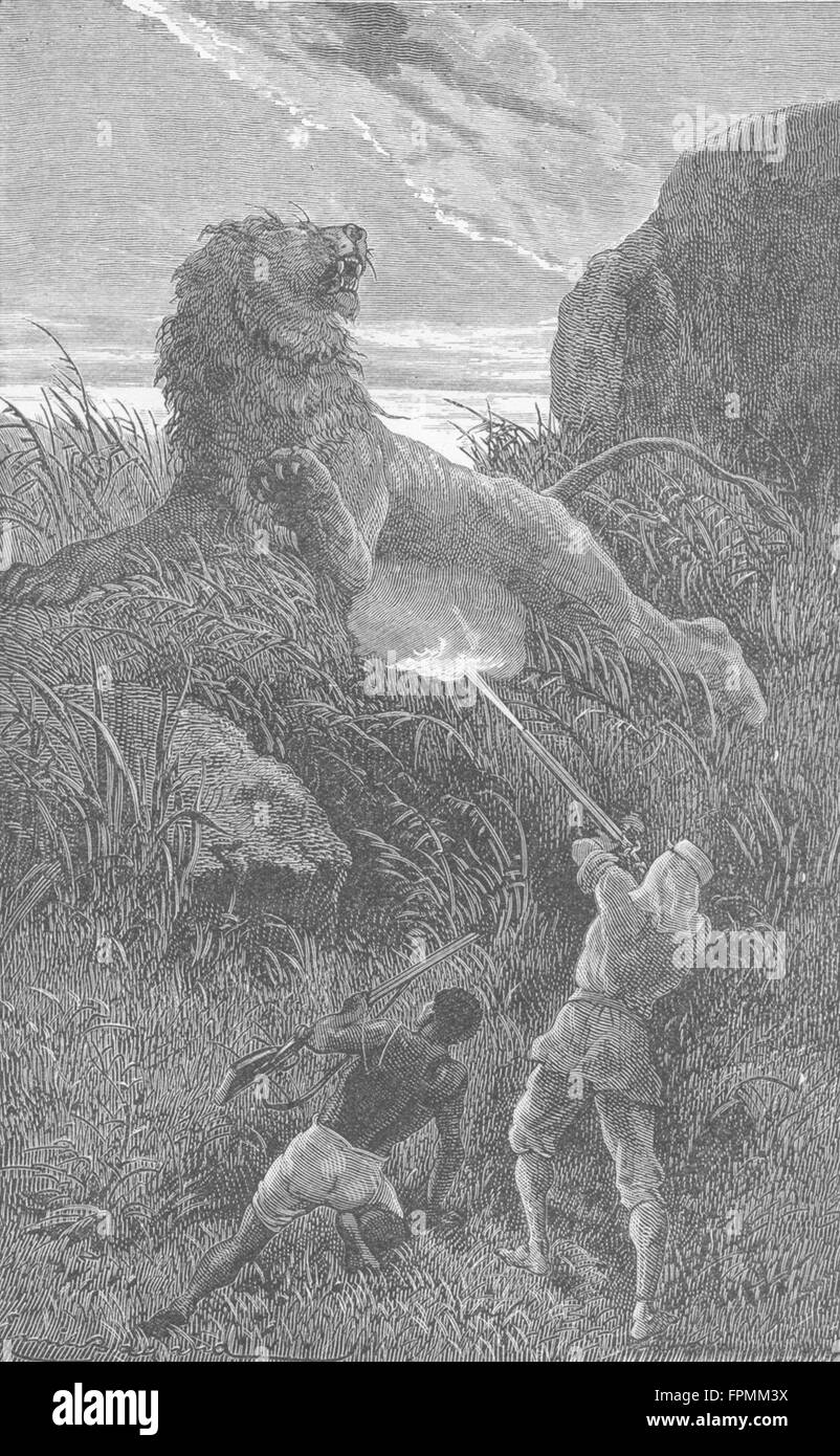 South african royal hi-res stock photography and images - Alamy