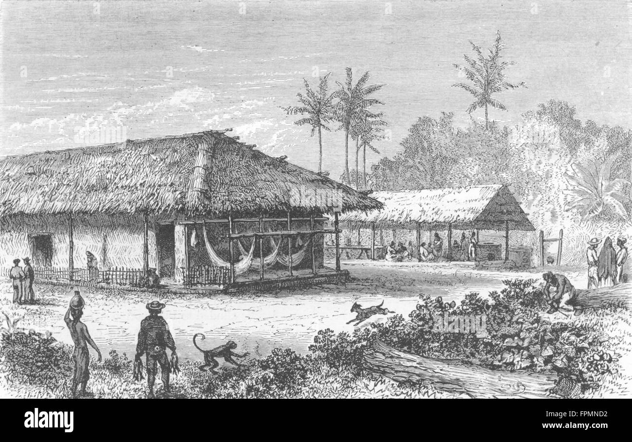 BRAZIL: Rio de Janeiro & Organ Mountains: Farm in, antique print 1880 ...