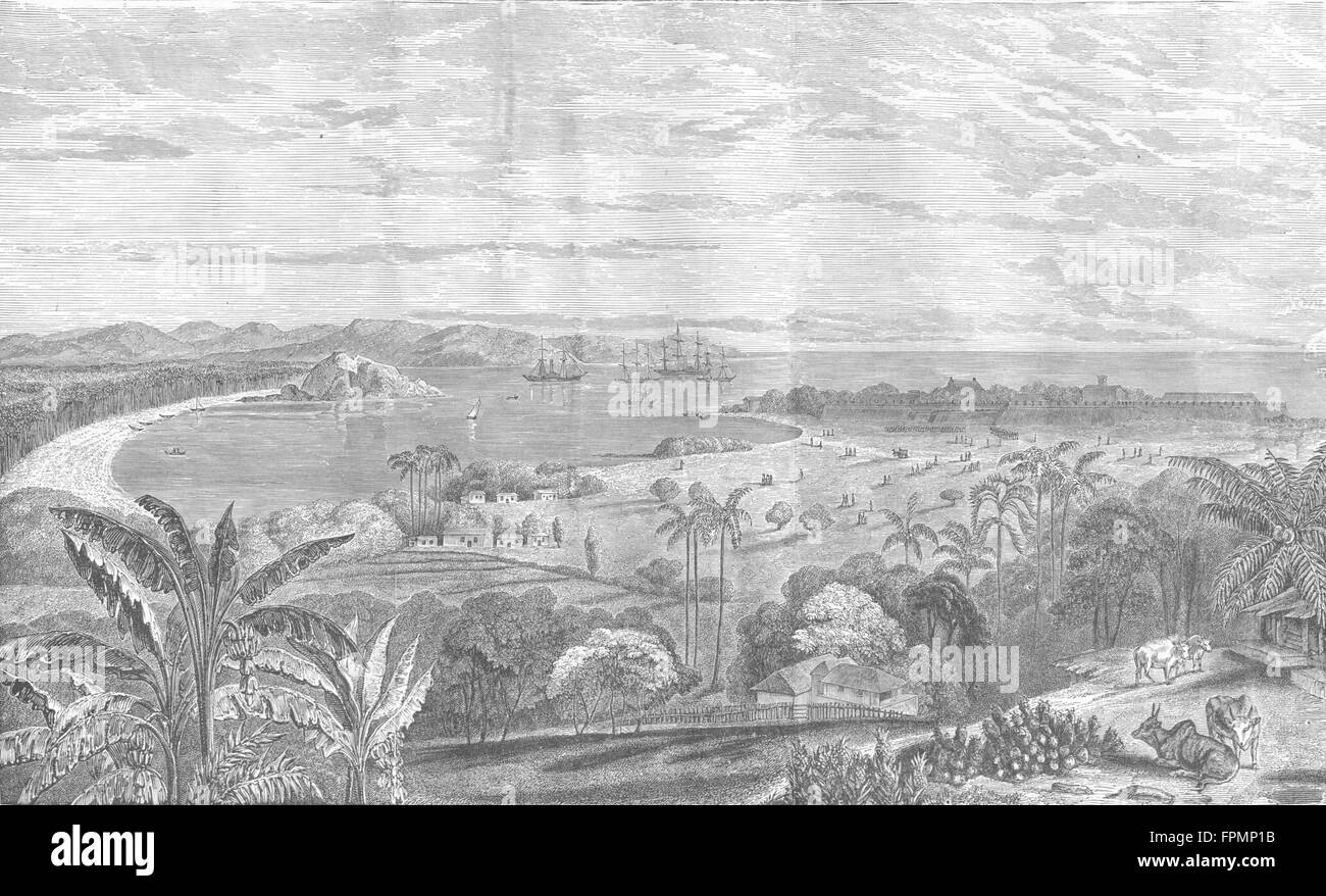 Point de galle hi-res stock photography and images - Alamy