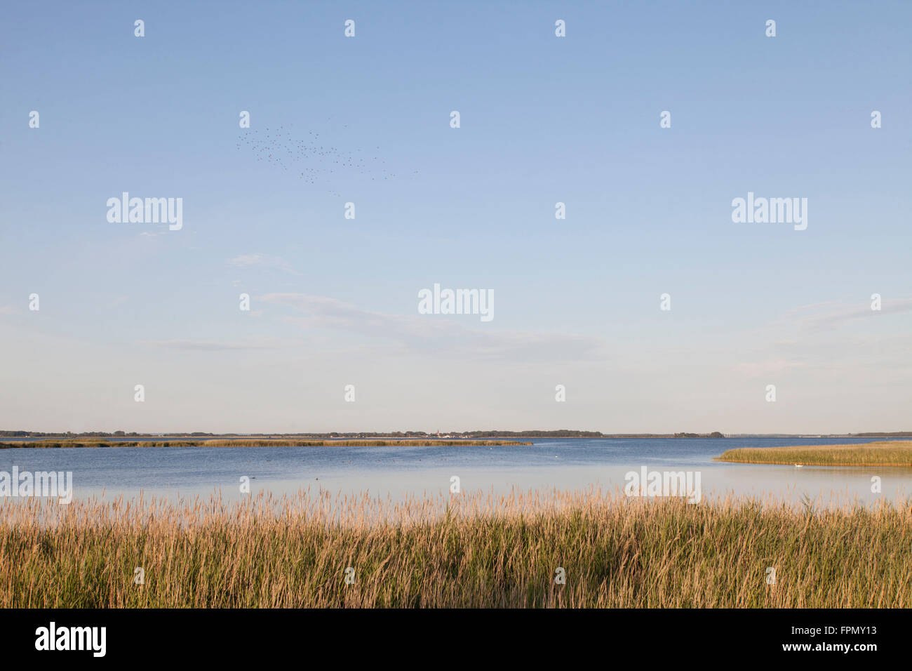 View of Hiddensee to Rügen Stock Photo - Alamy