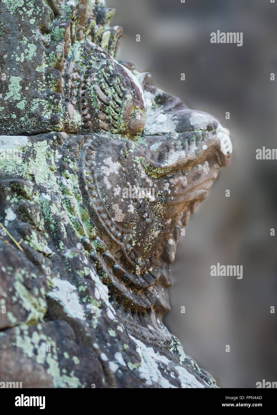 Face of a snake, the naga, in profile on the Causeway to Preah Khan ...