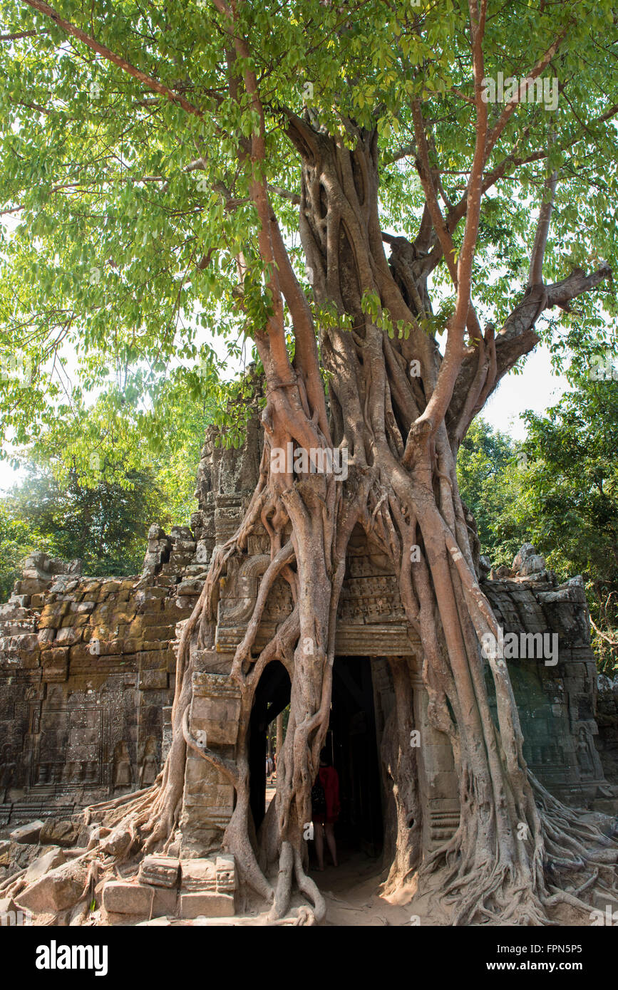 Som architecture hi-res stock photography and images - Alamy