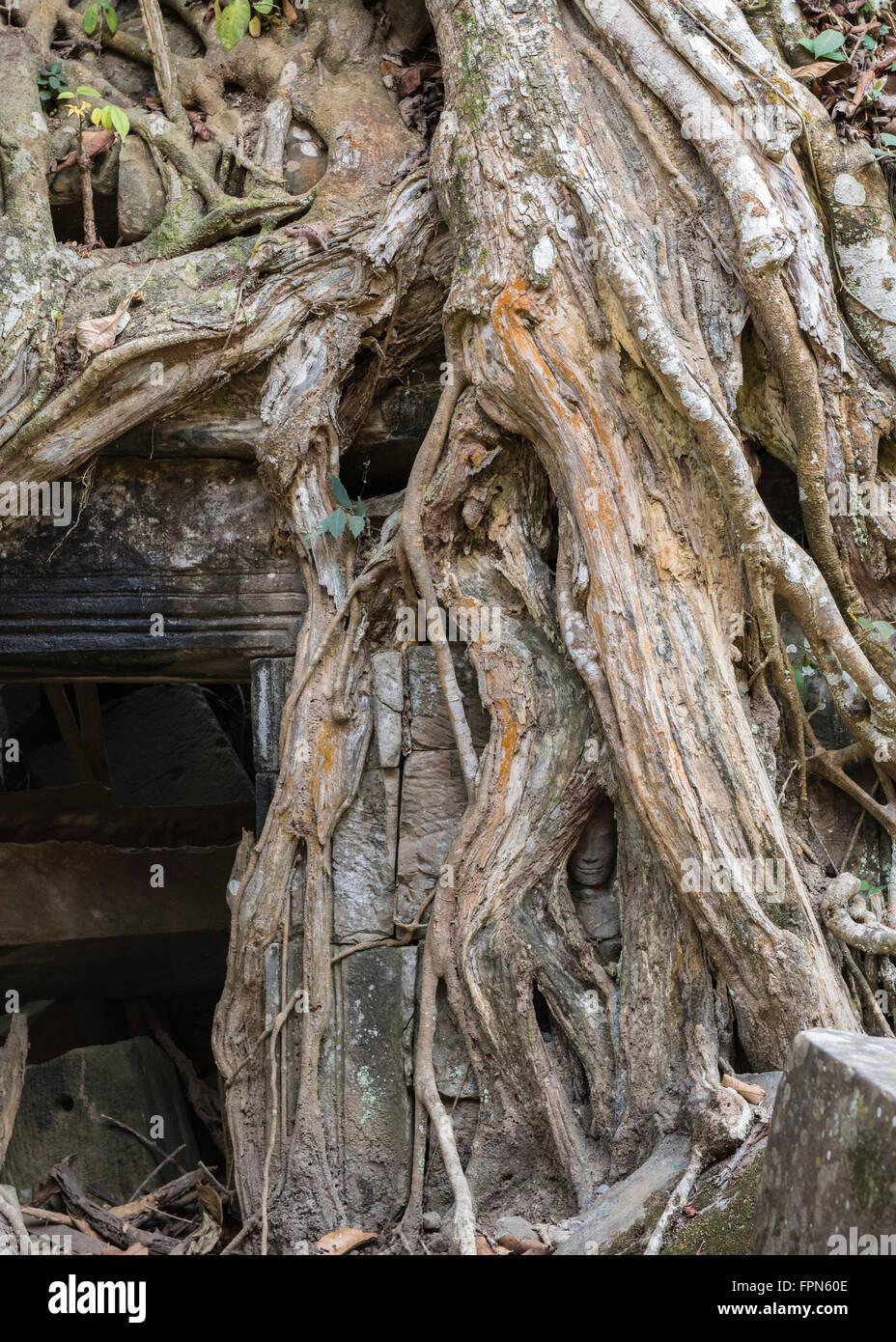 Hidden temple hi-res stock photography and images - Alamy