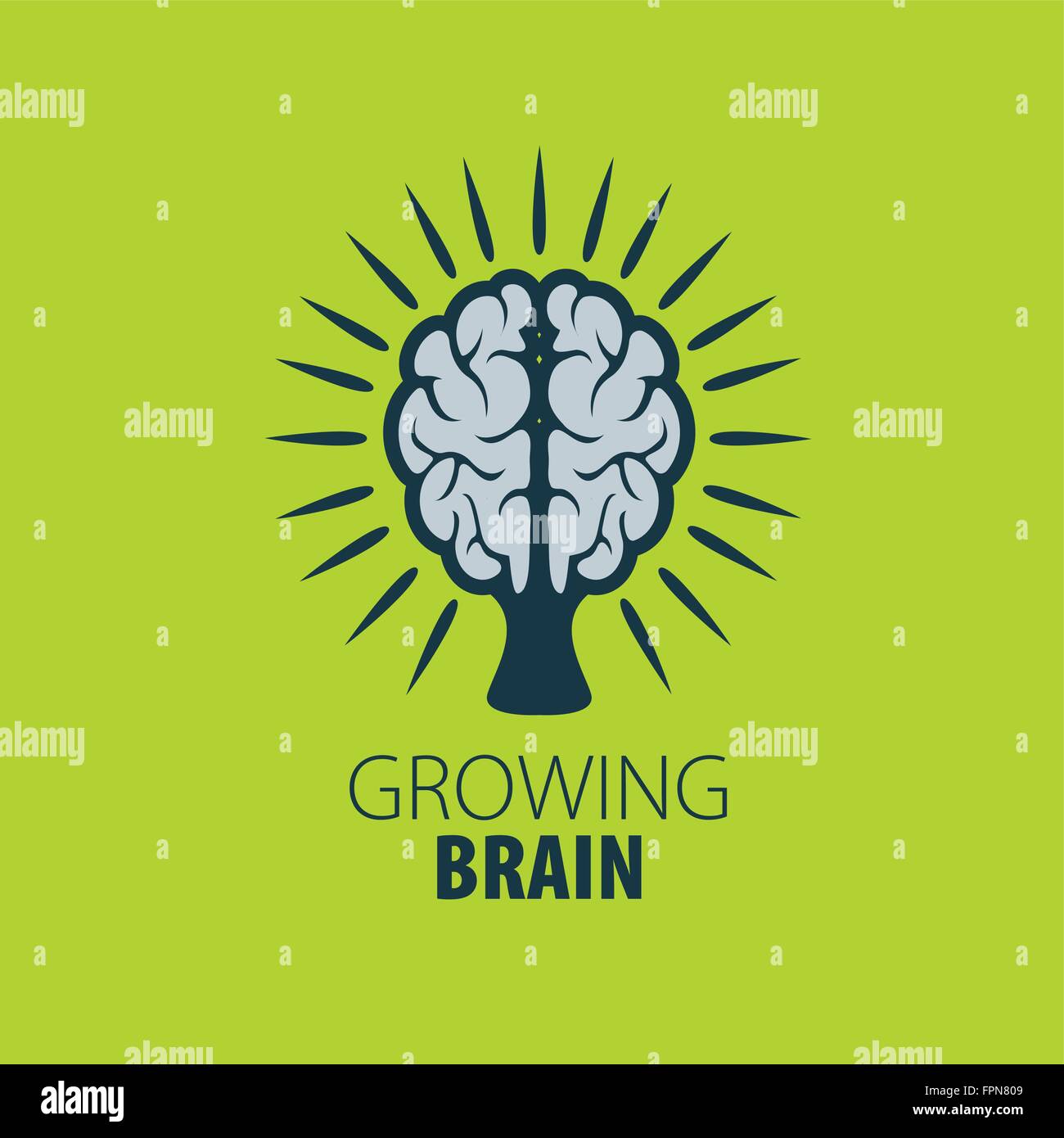 Vector brain logo Stock Vector Image & Art - Alamy