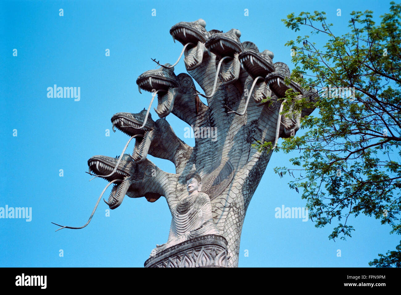 Multi headed snake hi-res stock photography and images - Alamy