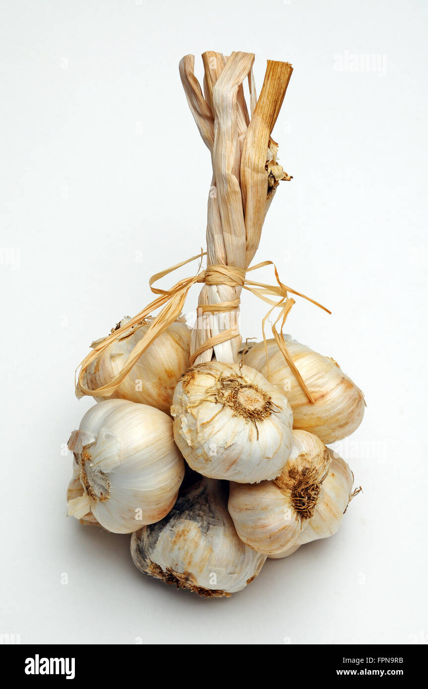 Garlic grappe hi-res stock photography and images - Alamy