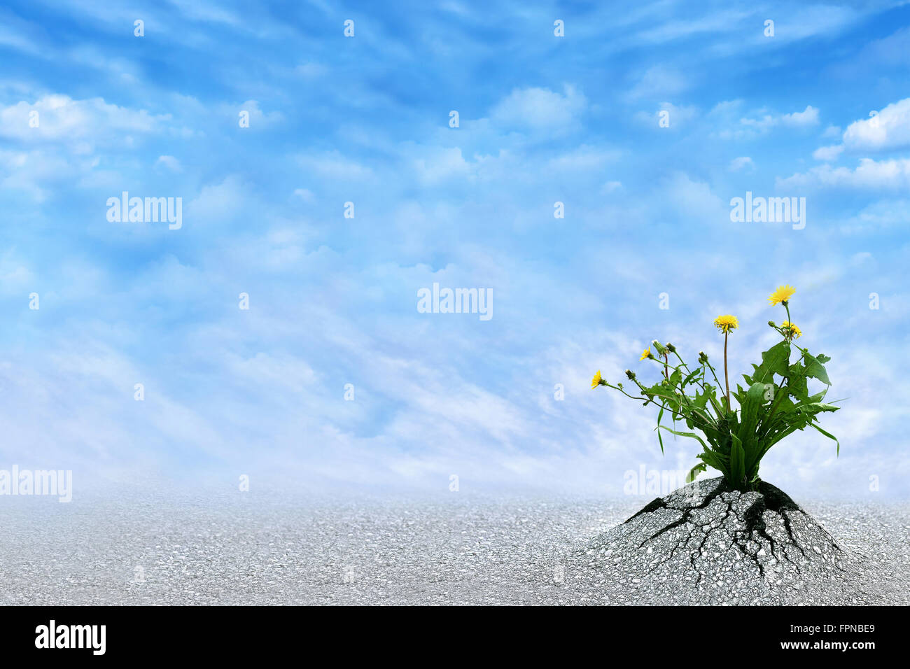 Powerpoint power point hi-res stock photography and images - Alamy