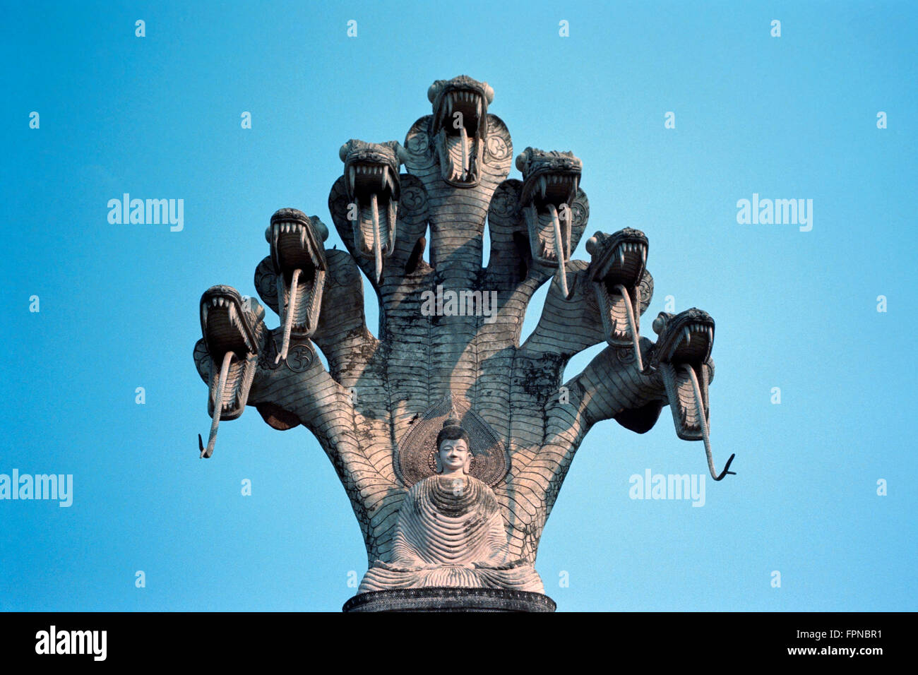 Multi headed snake hi-res stock photography and images - Alamy