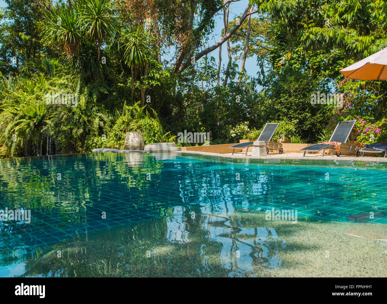 Deckchairs near swimming pool in tropical forest Stock Photo - Alamy