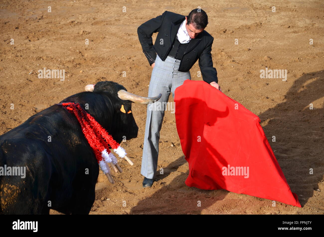 Toreador during corrida show in Fontanar, Spain Stock Photo - Alamy
