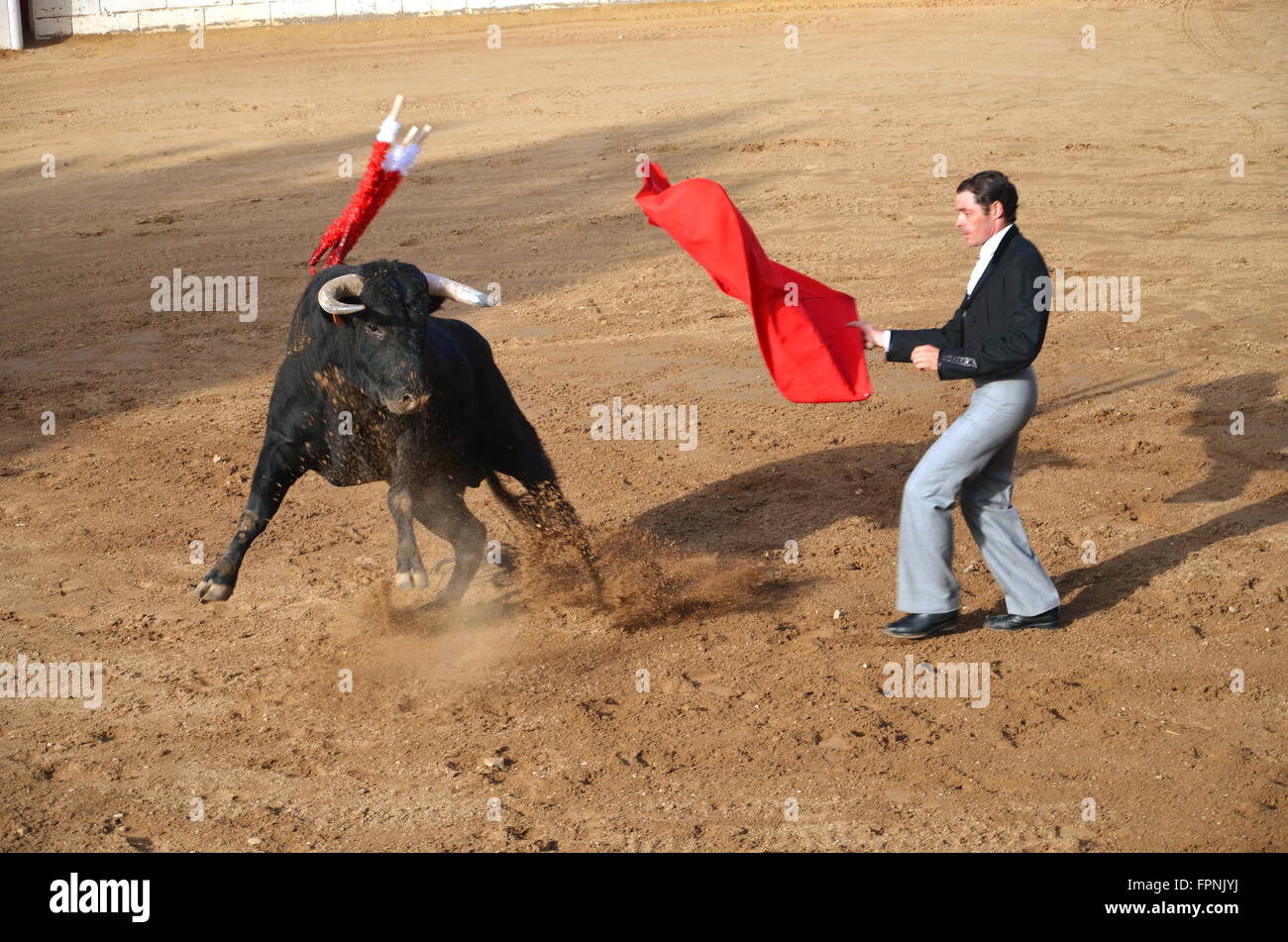 Toreador during corrida show in Fontanar, Spain Stock Photo - Alamy